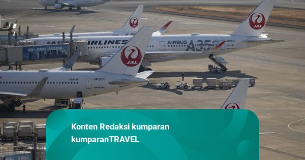 JAL Kena Serangan Siber, Penerbangan Internasional dan Domestik Sempat Tertunda | kumparan.com